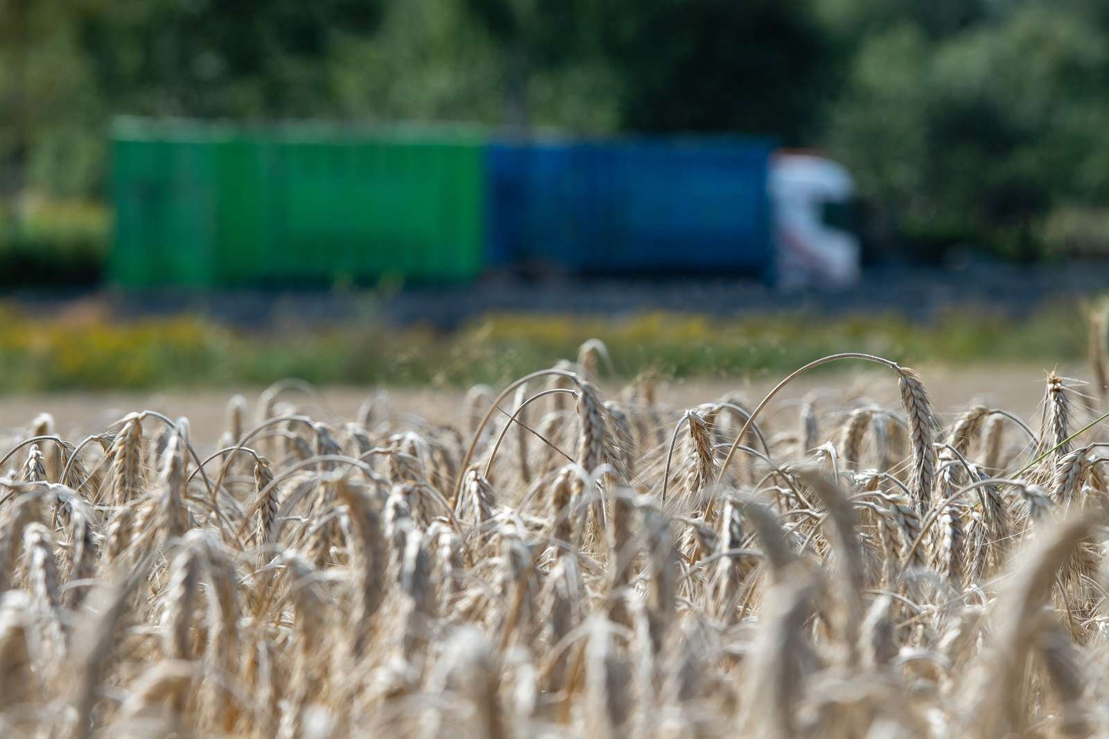Industri og handel - Landbruksdirektoratet